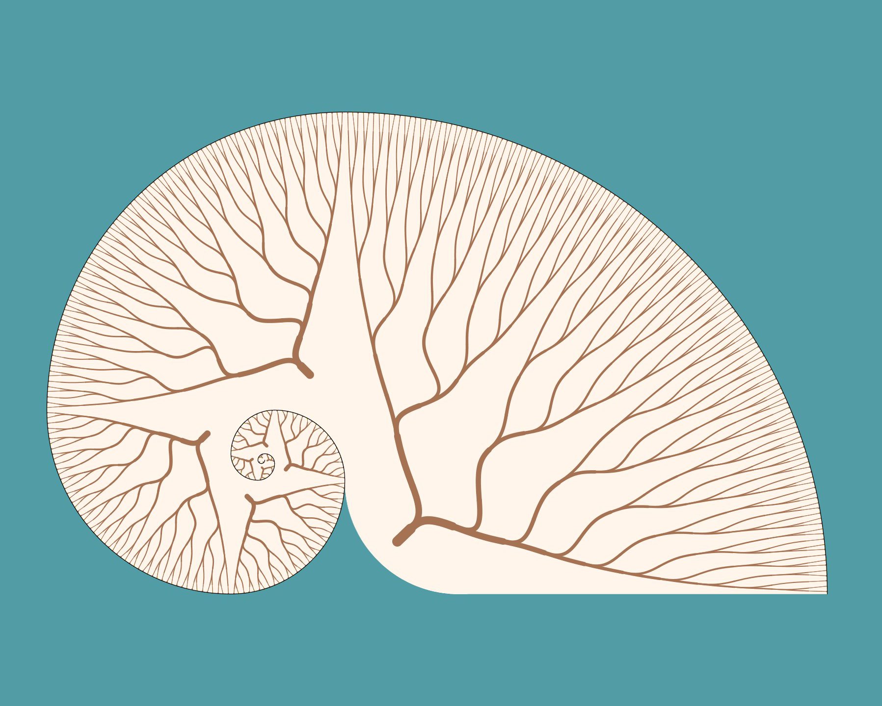 David Reimann | 2014 Bridges Conference