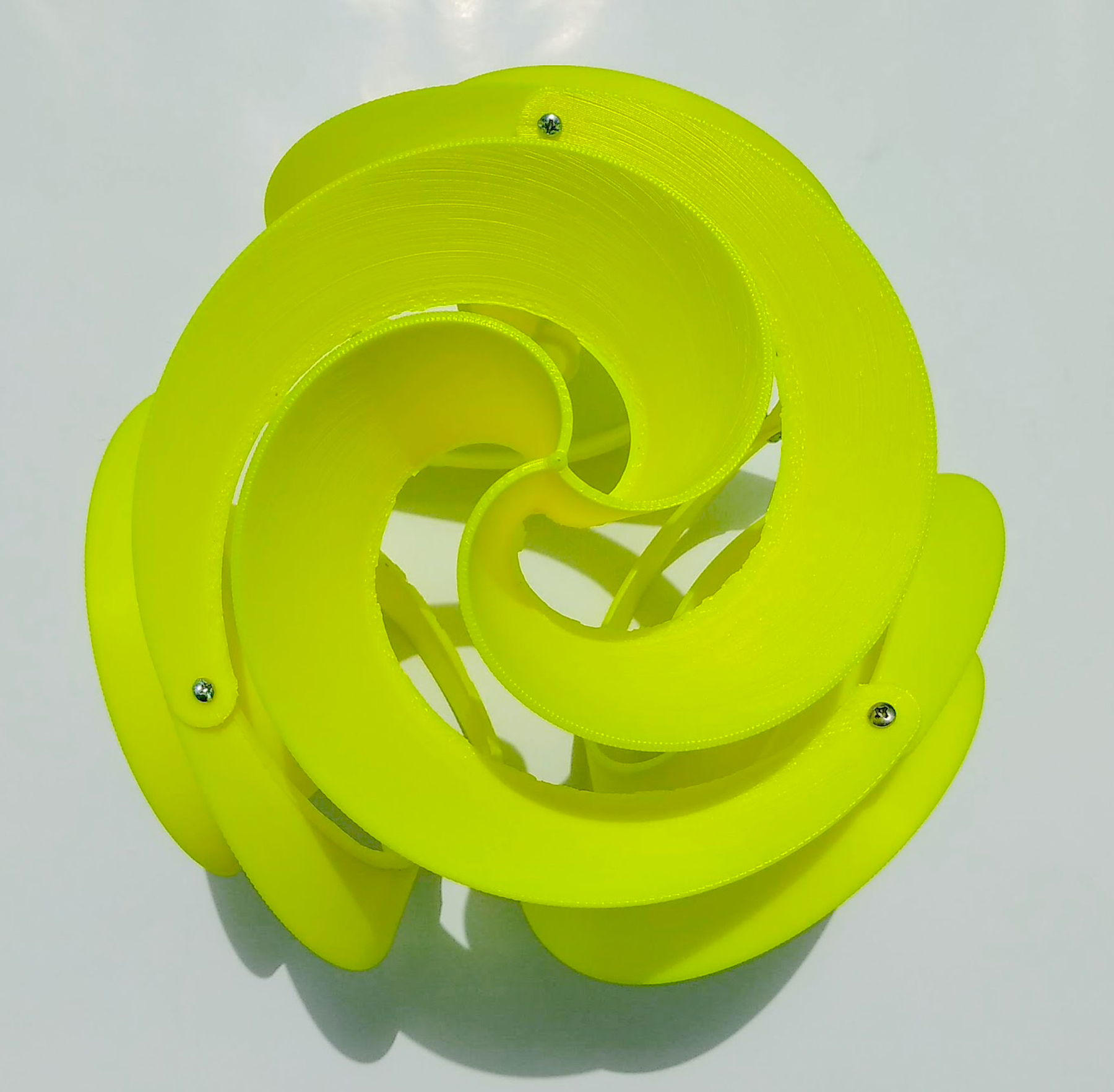 daniela bertol | 2019 Bridges Conference