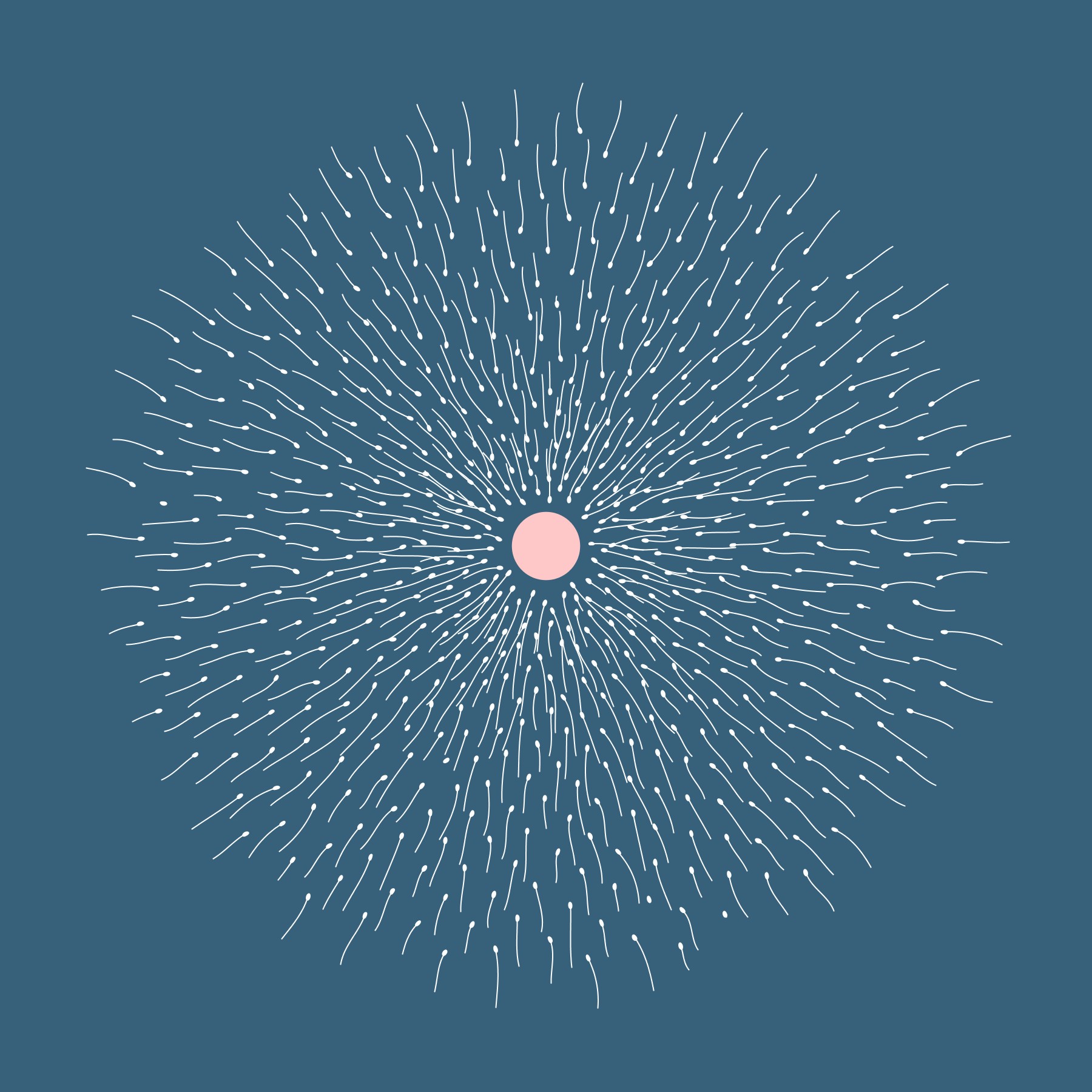 David Reimann | 2021 Bridges Conference