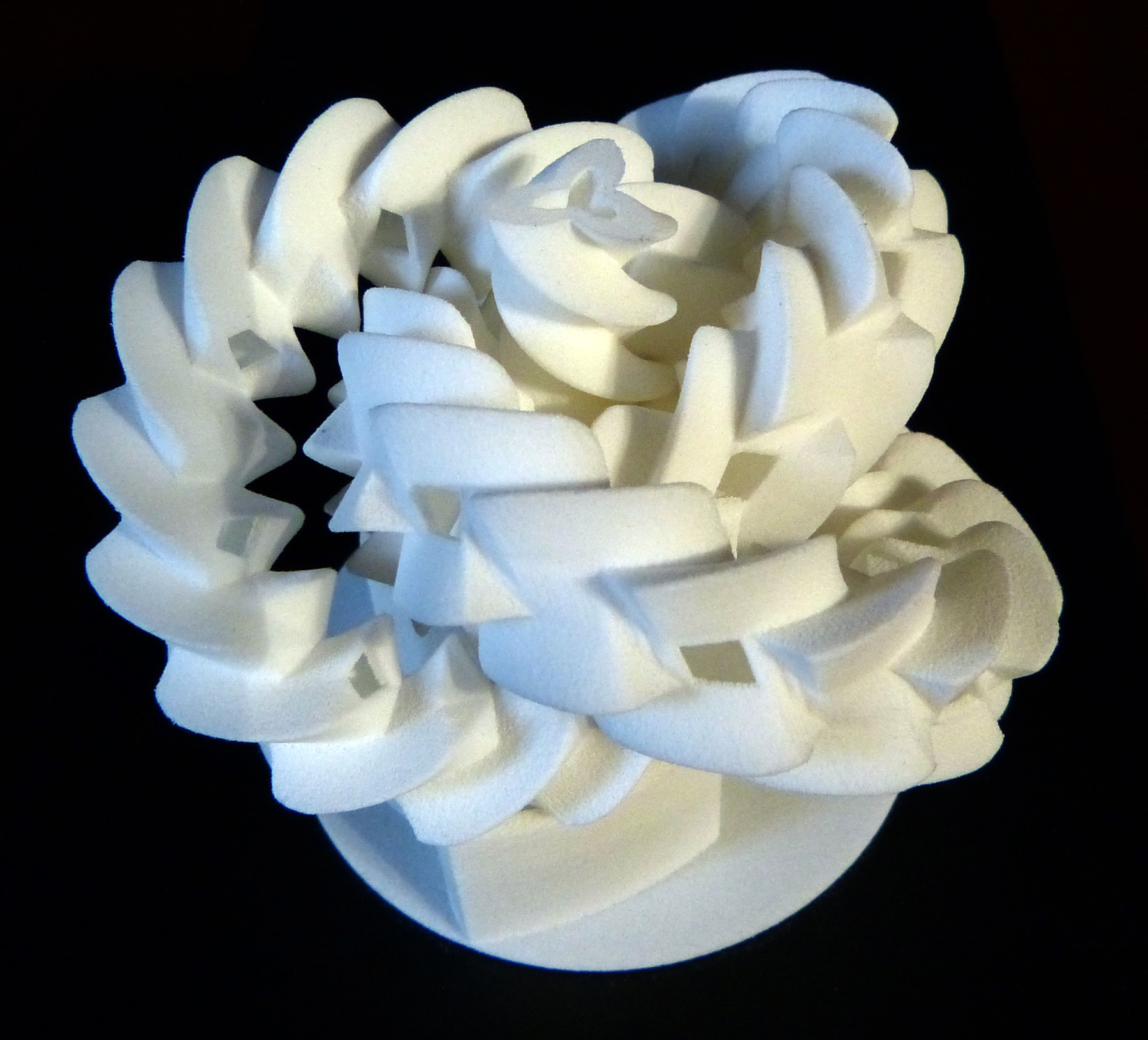 Saul Schleimer and Henry Segerman | 2014 Joint Mathematics Meetings