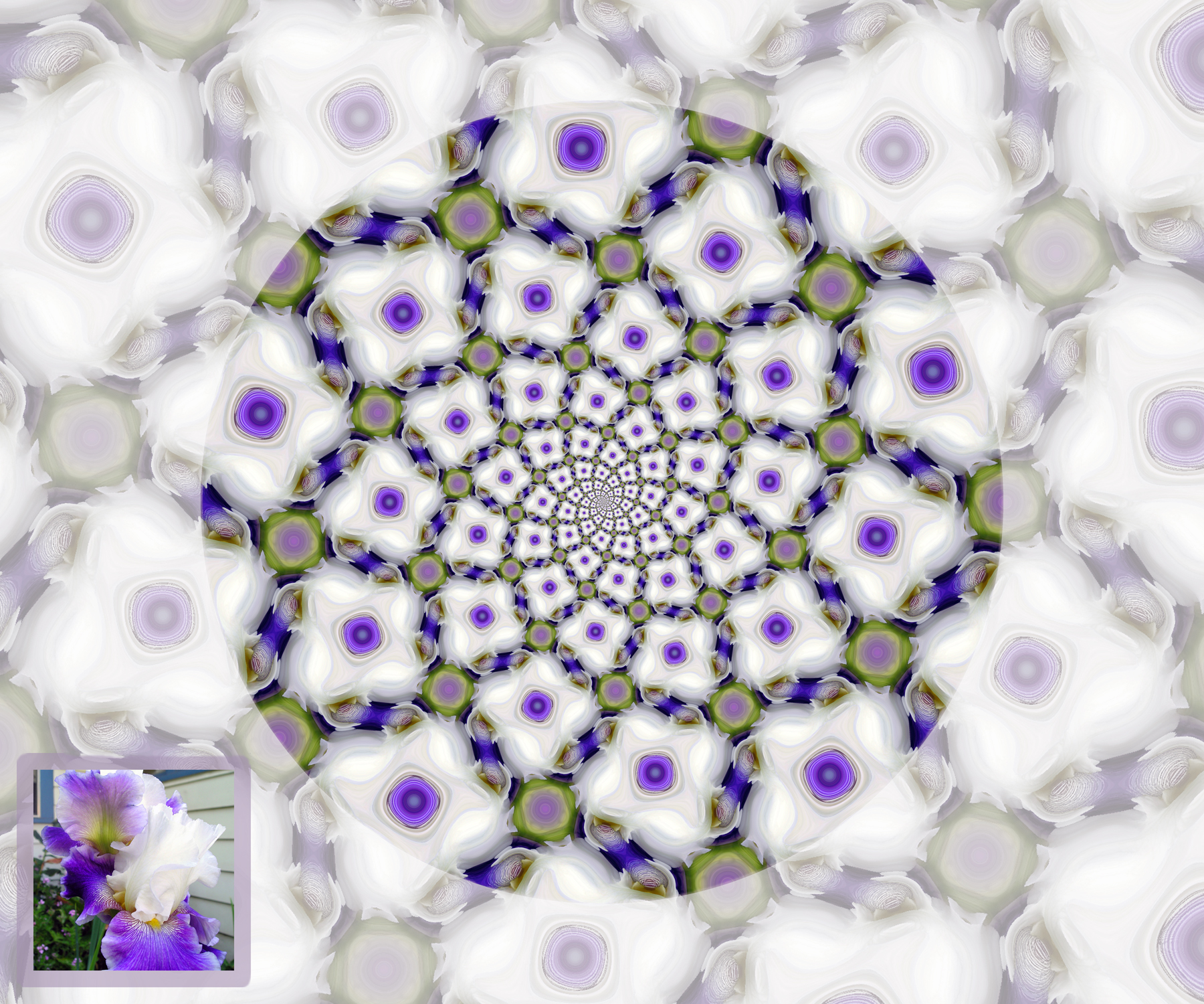 Frank A. Farris | 2016 Joint Mathematics Meetings