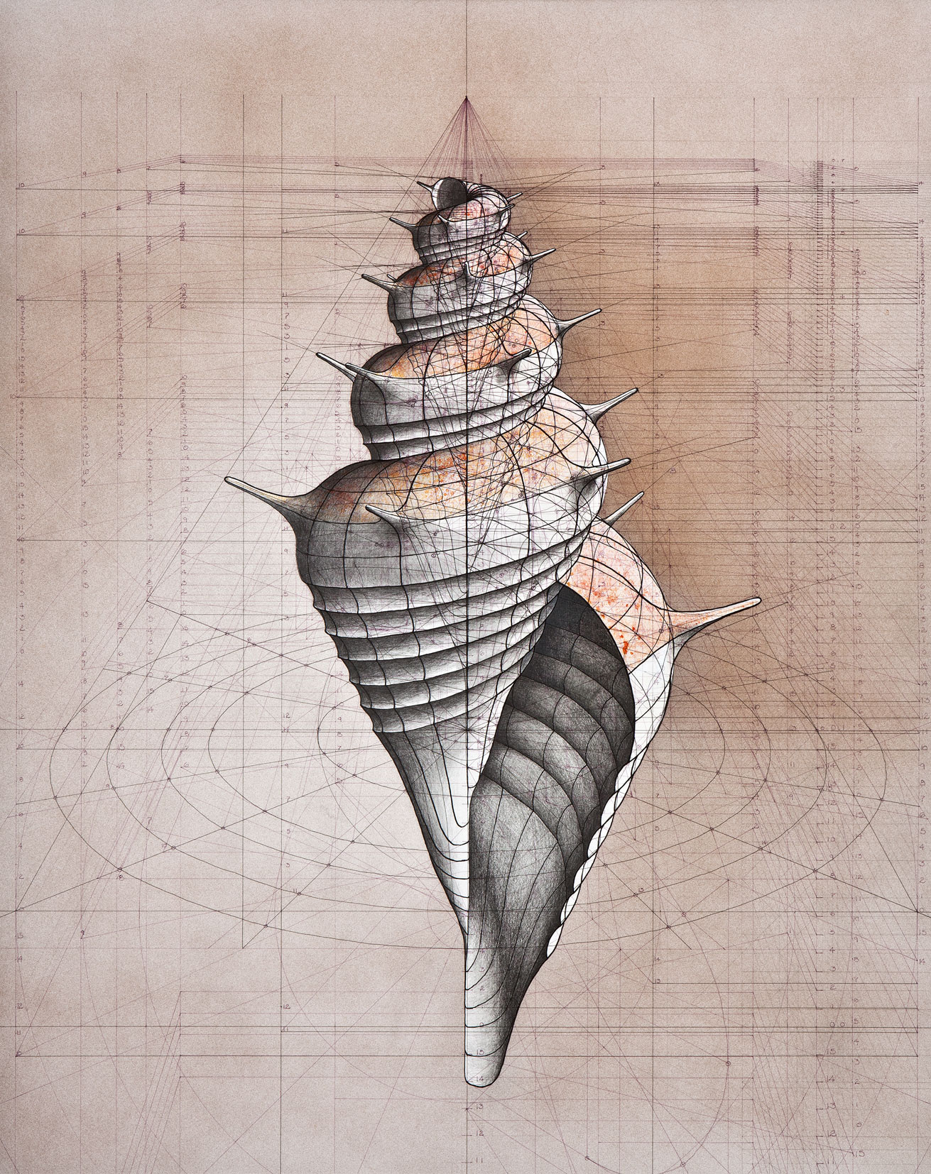 Rafael araujo | 2018 Joint Mathematics Meetings