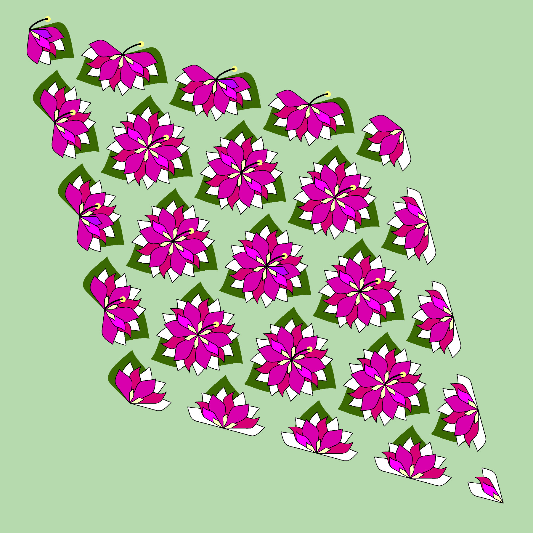 David Reimann | 2019 Joint Mathematics Meetings