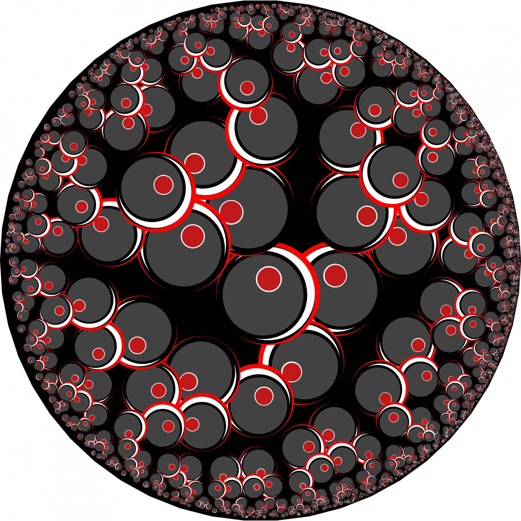 Radmila Sazdanovic | 2019 Joint Mathematics Meetings