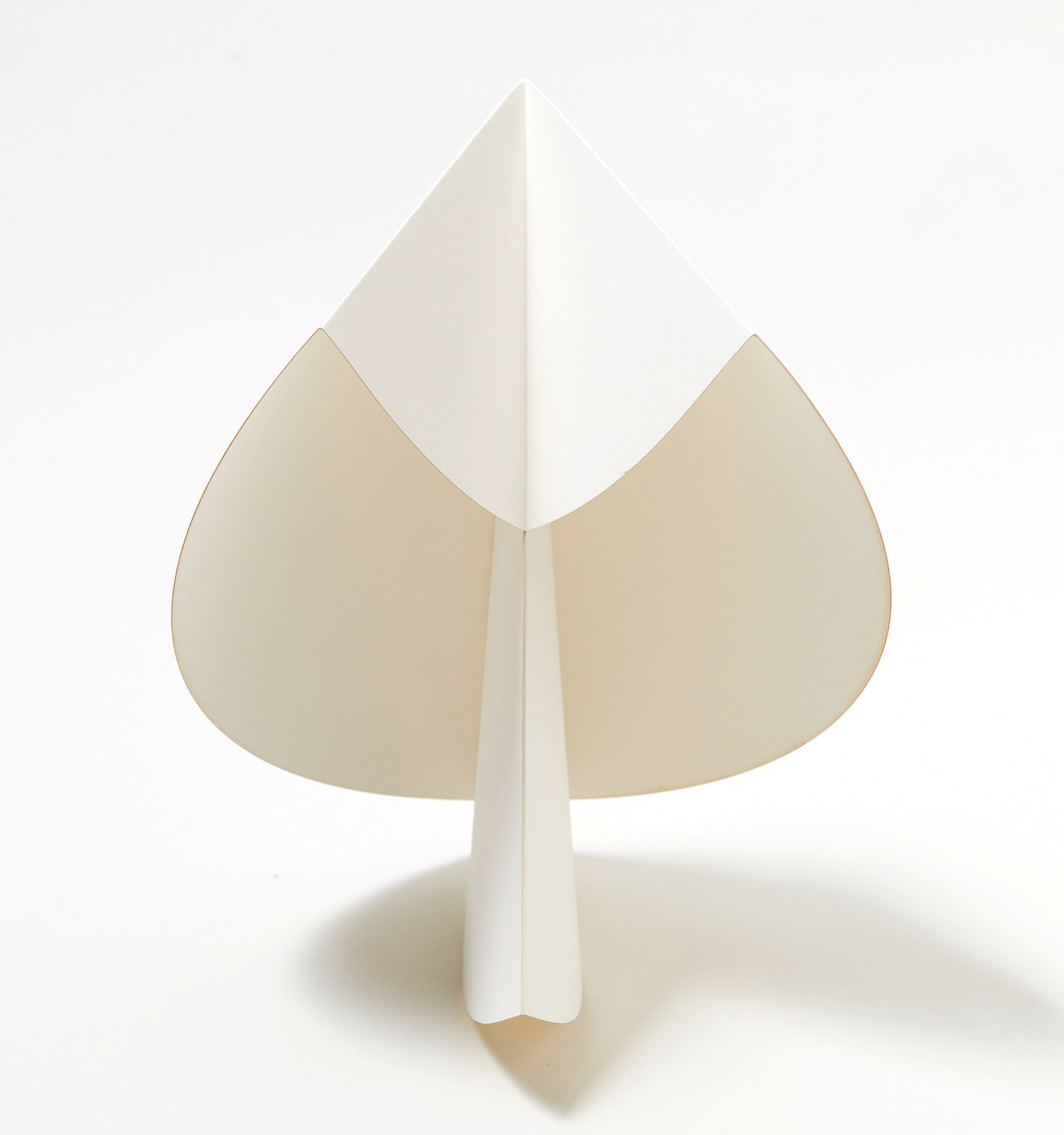 Lisa Giles | 2021 Joint Mathematics Meetings