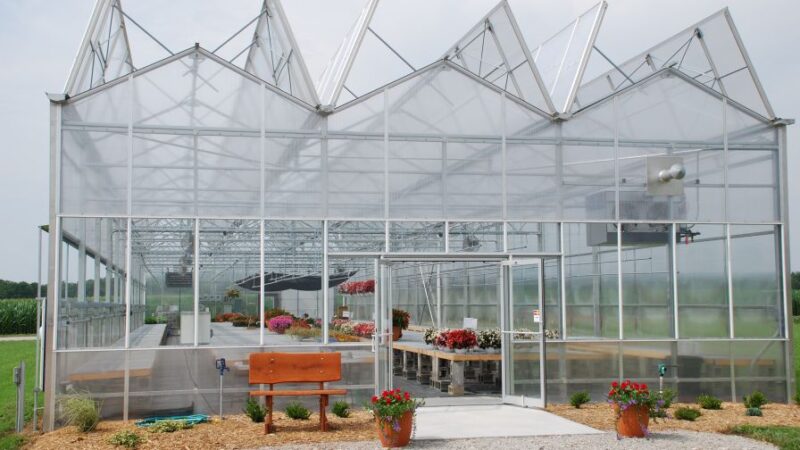 Prospiant Celebrating Five Years of Partnering With Greenhouse Growers ...
