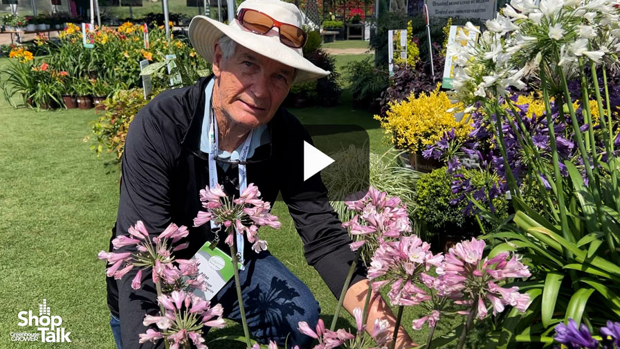 Videos from CAST 2026: Agapanthus Poppin’ Pink from Plant Development ...