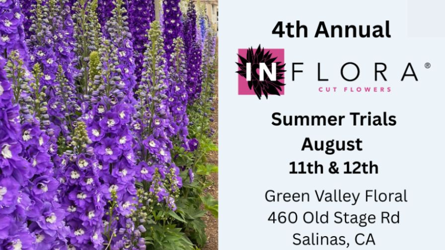 Registration Now Open for InFlora Cut Flowers' 4th Annual Summer Trials