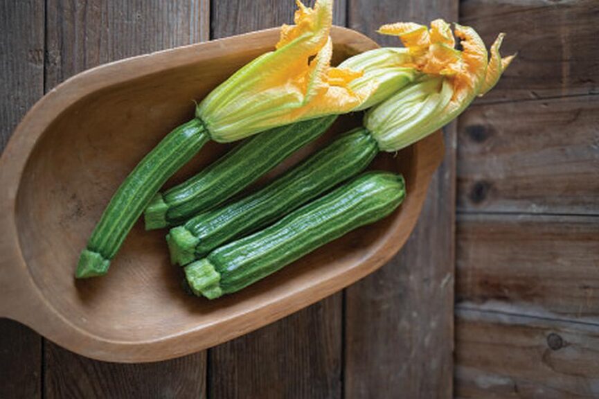Latest Zucchini and Summer Squash Selections Ripe for Good Growth ...
