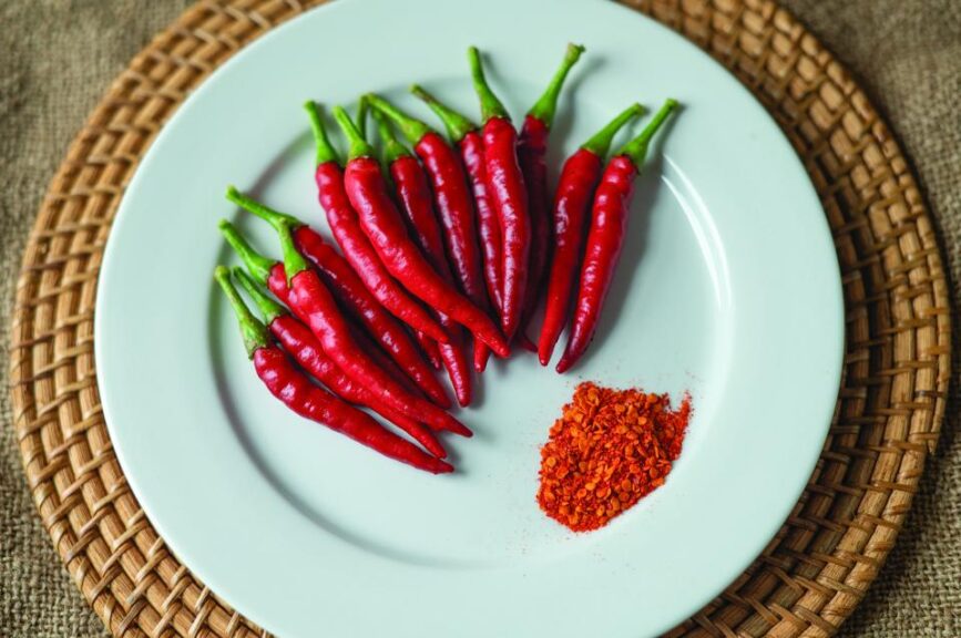 Hot Pepper Varieties To Spice up Your Crop Portfolio - Growing Produce