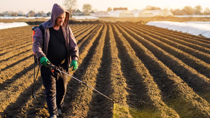 Ways the IR-4 Project Can Help Your Farm Grow - Growing Produce
