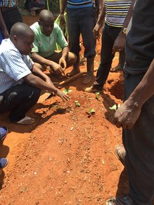 Locking up food security with permaculture | Eslkevin's Blog