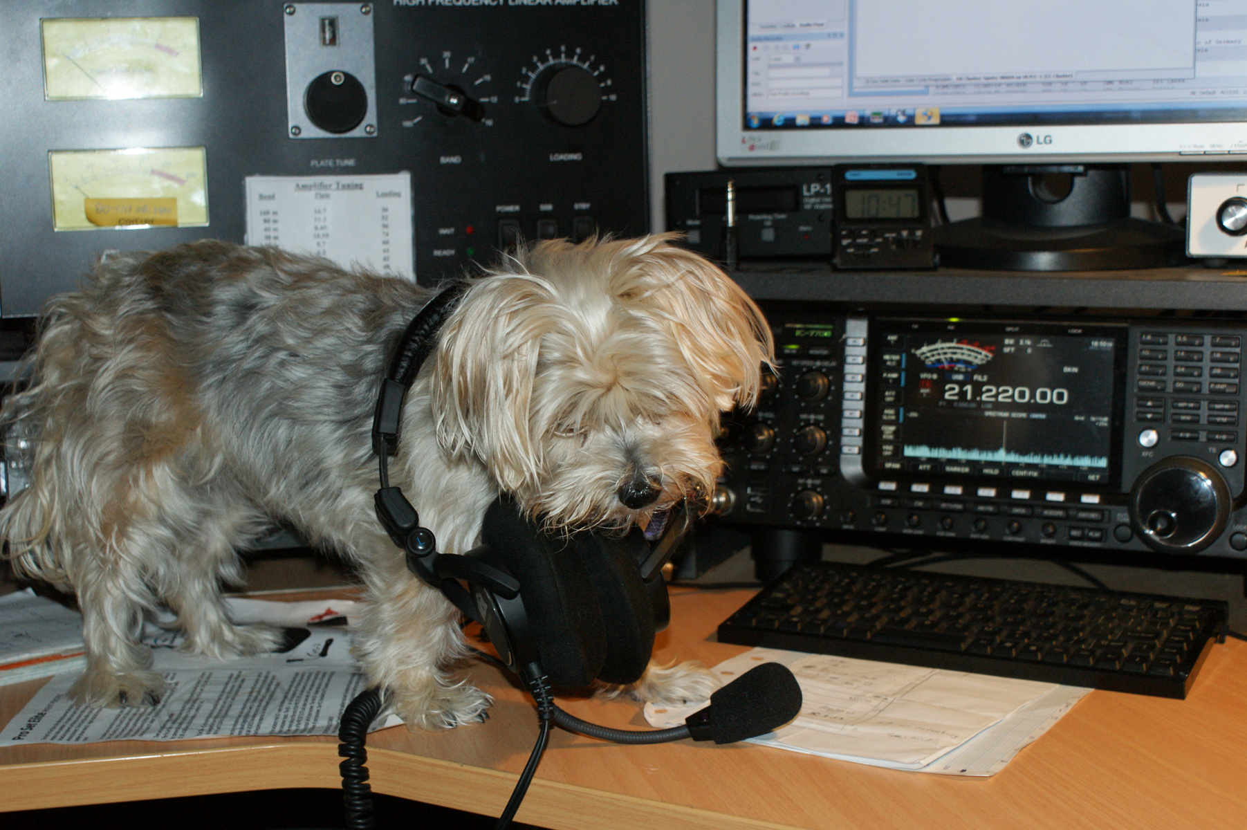 VK6EH - Callsign Lookup by QRZ Ham Radio