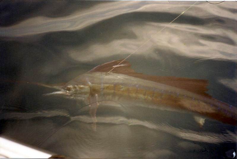 KJ4JSN - Callsign Lookup by QRZ Ham Radio