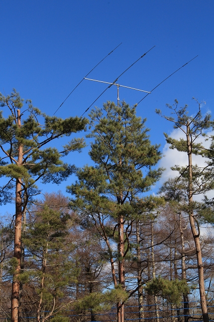 JO1WXO - Callsign Lookup by QRZ Ham Radio