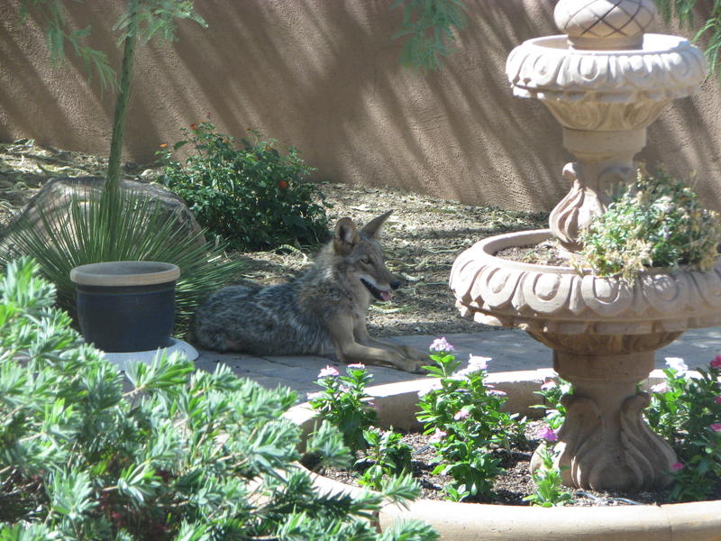 AA7V - Callsign Lookup by QRZ Ham Radio