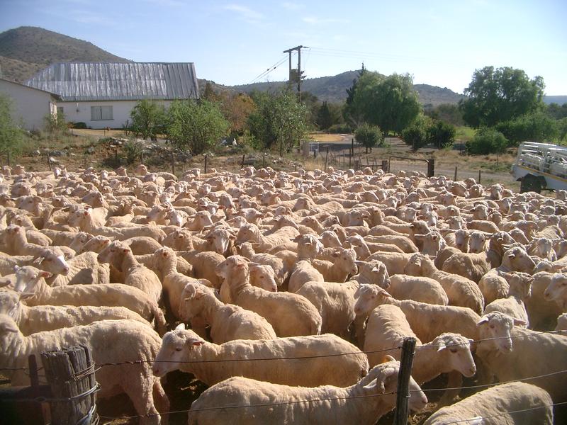 ZS1VV - Callsign Lookup by QRZ Ham Radio