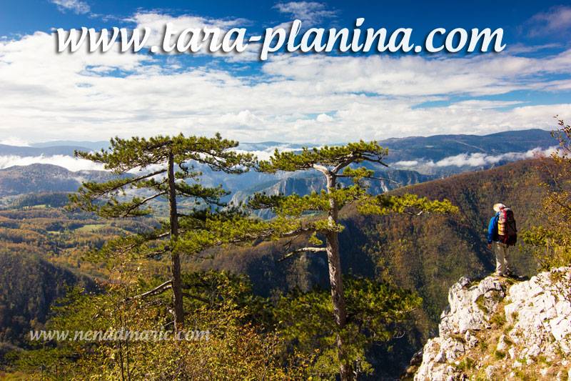 YT8WW - Callsign Lookup by QRZ Ham Radio