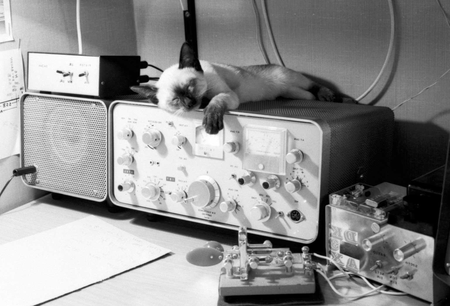 DK3AX - Callsign Lookup by QRZ Ham Radio