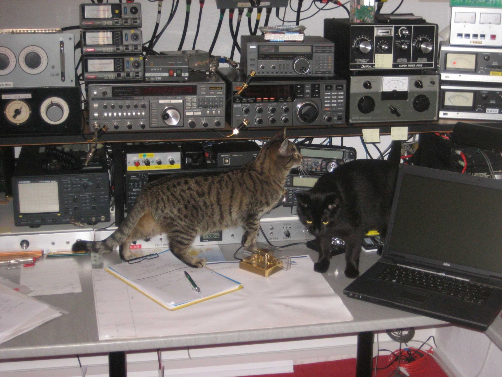 DK3AX - Callsign Lookup by QRZ Ham Radio