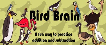 Bird Brain