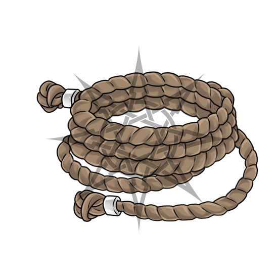 Mythrus / Item / Rope (20+)