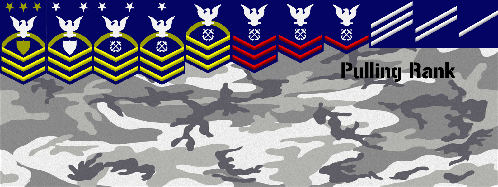 Pulling Rank Playing Cards- Coast Guard Deck