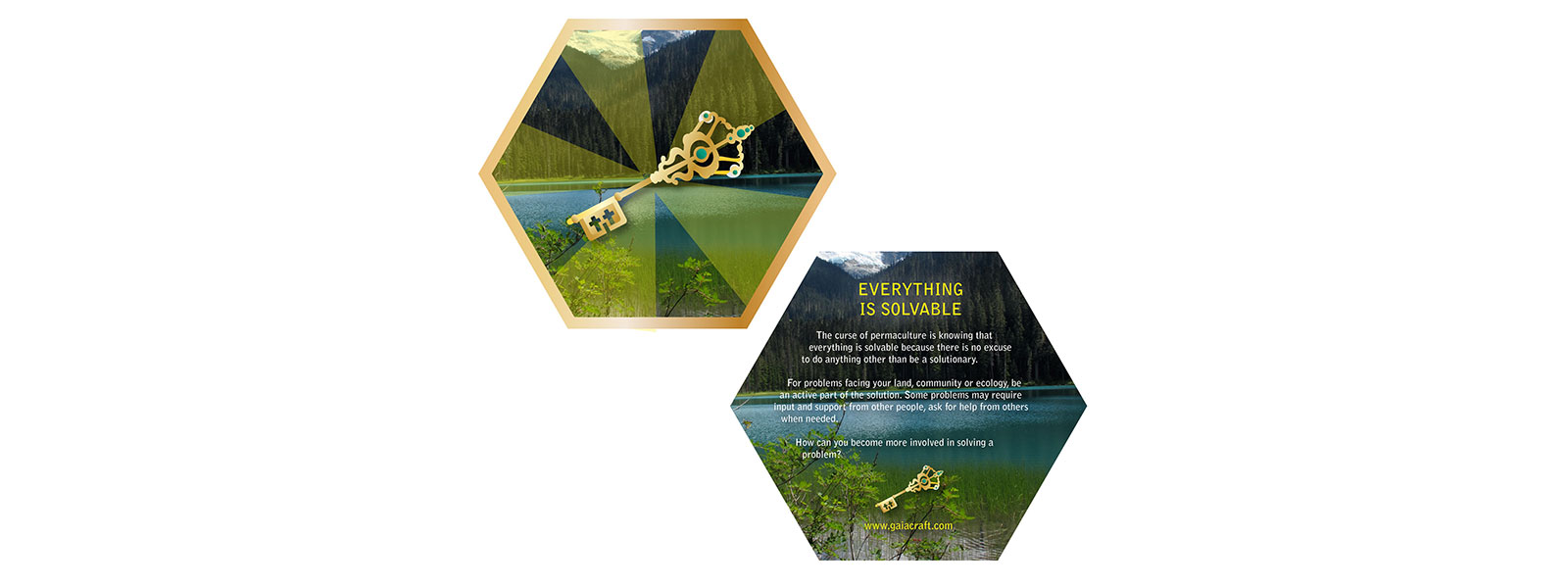 Permaculture Principles