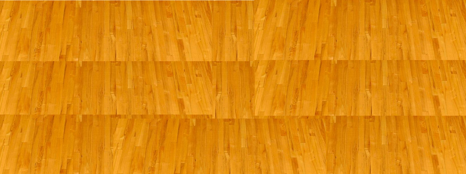 Double Bluff Basketball