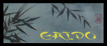 Gaido