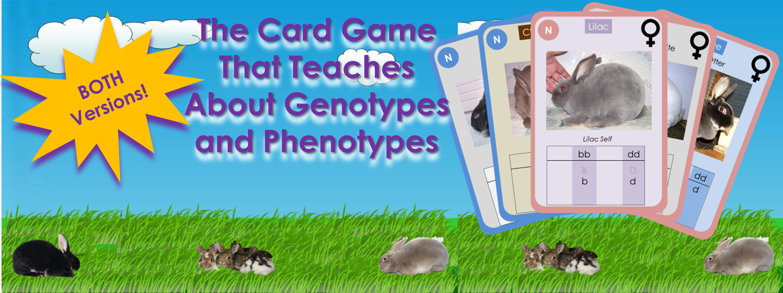 Rabbit Gene Rummy (Novice & Full Versions)