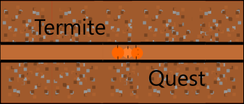 Termite Quest Card Game