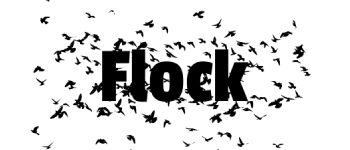 Flock