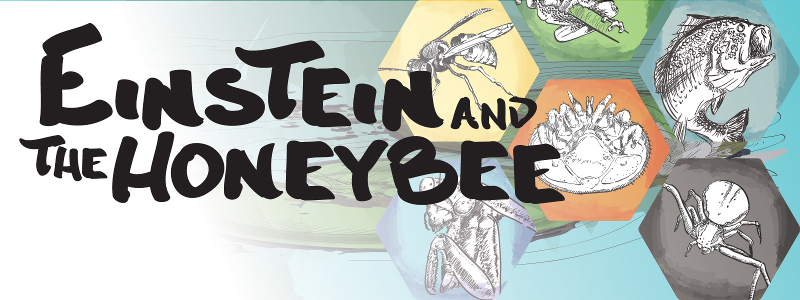 Einstein & the Honeybee