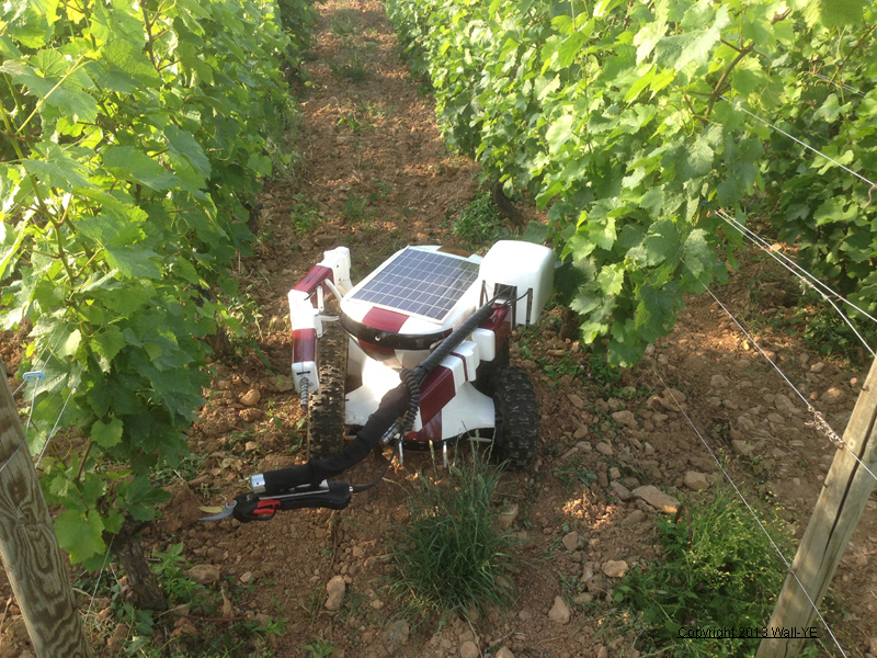 Innovation on Another Level: Vine-pruning Robot - Town and Mountain Realty