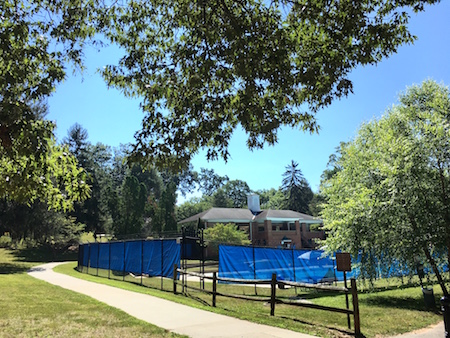 This Summer, Swim Spots Make a Splash in Asheville