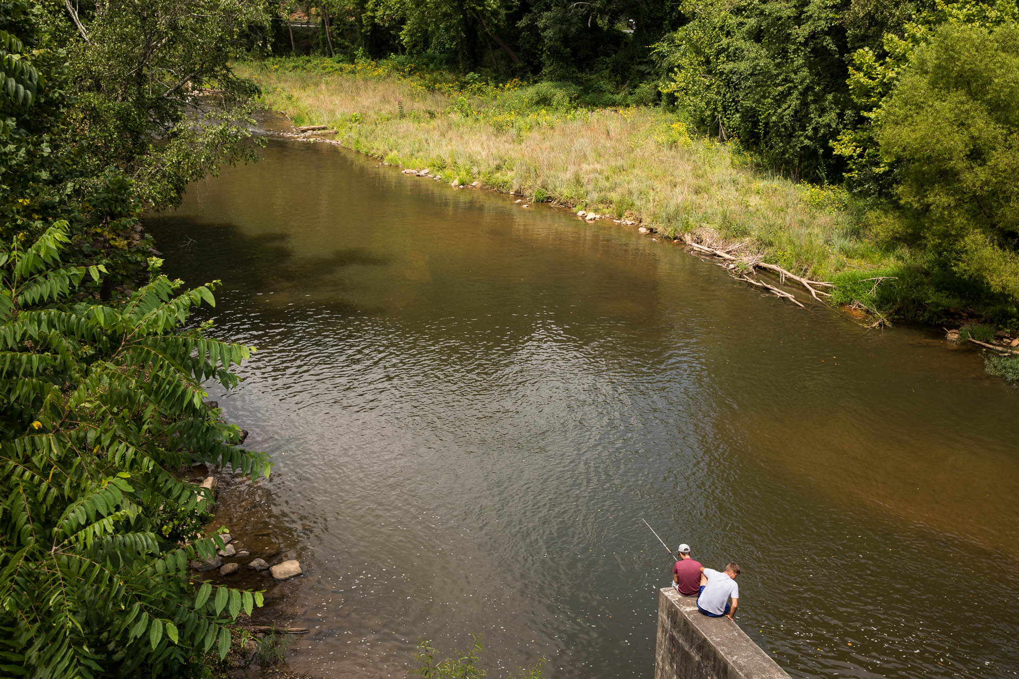 Blog - Mosaic Community Lifestyle Realty