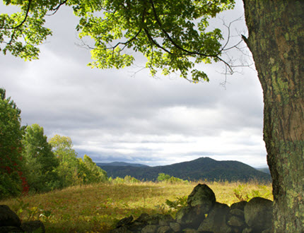 Homes For Sale Bridgewater VT | Williamson Group