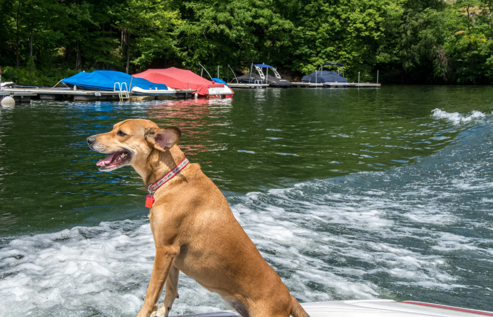 Deep Creek Lake Real Estate | Homes For Sale | Waterfront Homes