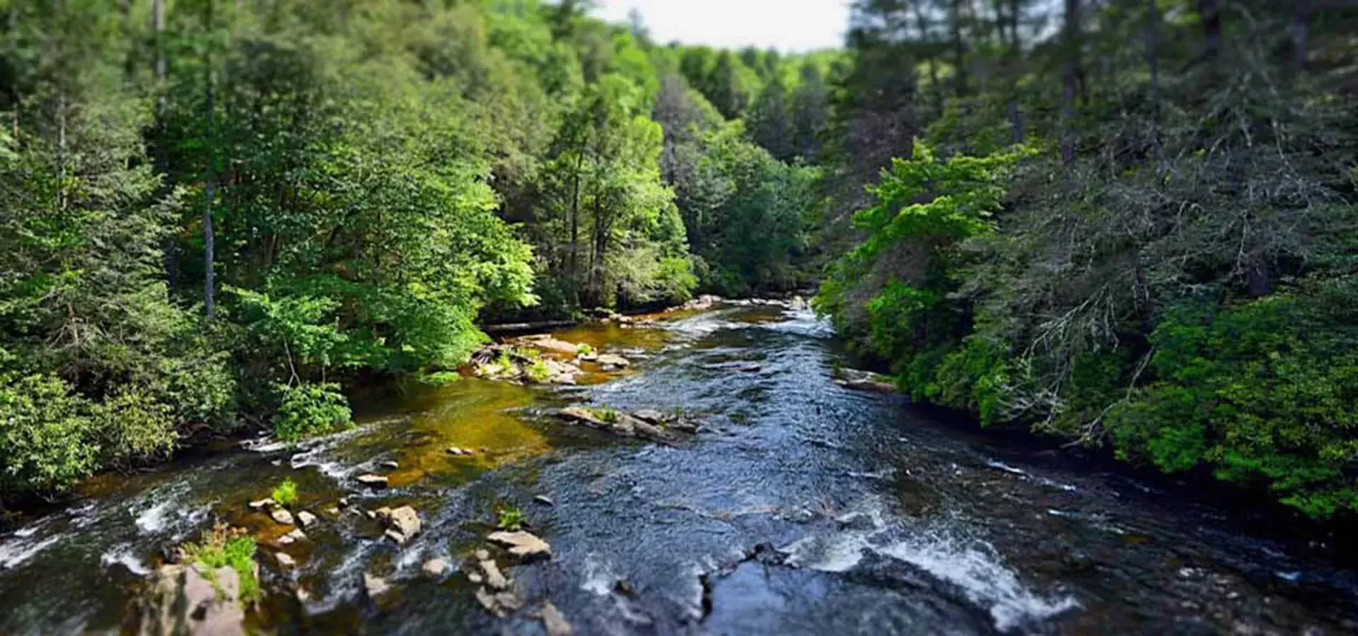 Home Page - North GA and Western NC Real Estate | The Mountain Life Real Estate Team