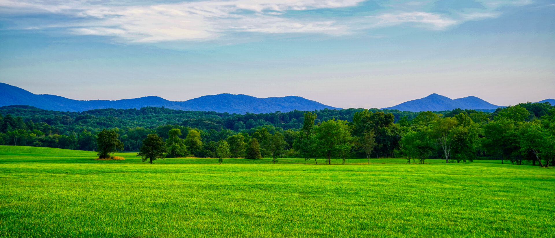 Home Page - North GA and Western NC Real Estate | The Mountain Life Real Estate Team