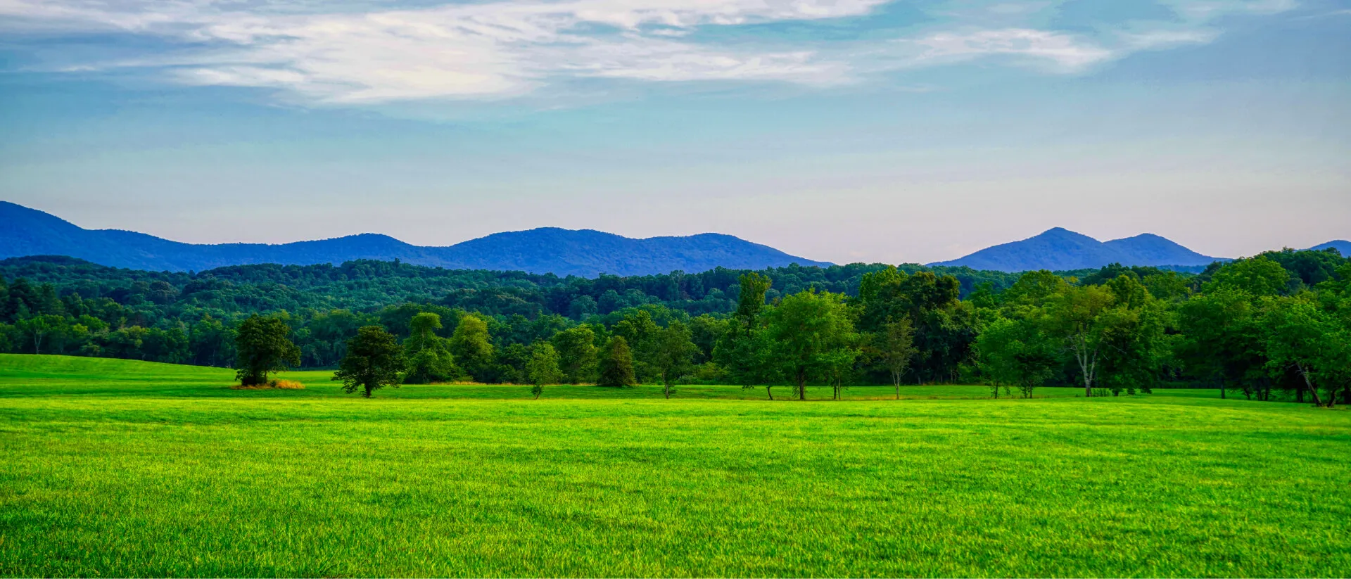 Home Page - North GA and Western NC Real Estate | The Mountain Life Real Estate Team