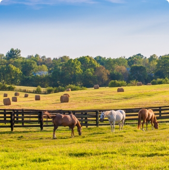 Farms for Sale in Ontario | The Zahnd Team Real Estate Advisors