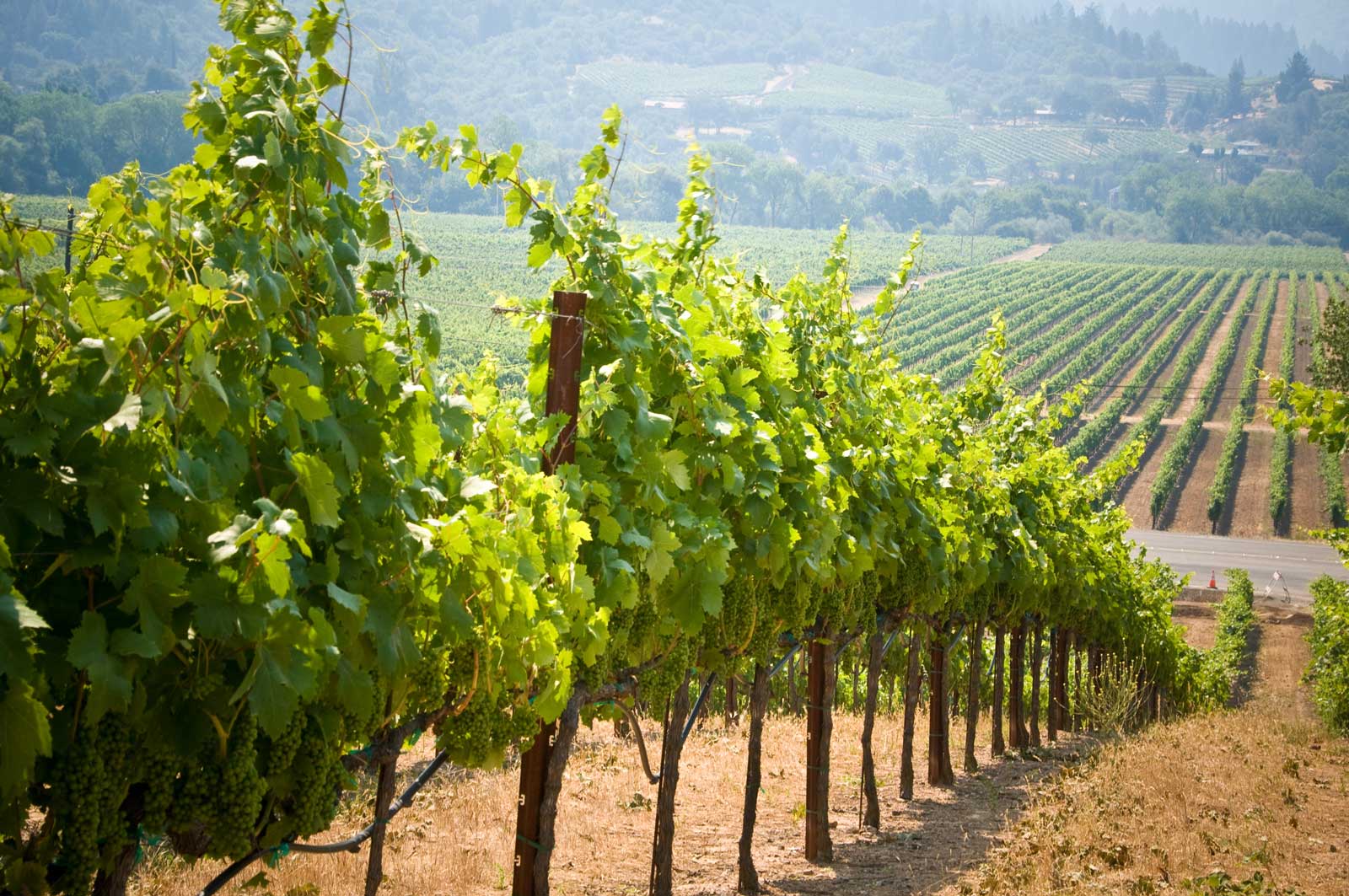 Homes for Sale on the Central Coast CA | Central Coast SIR