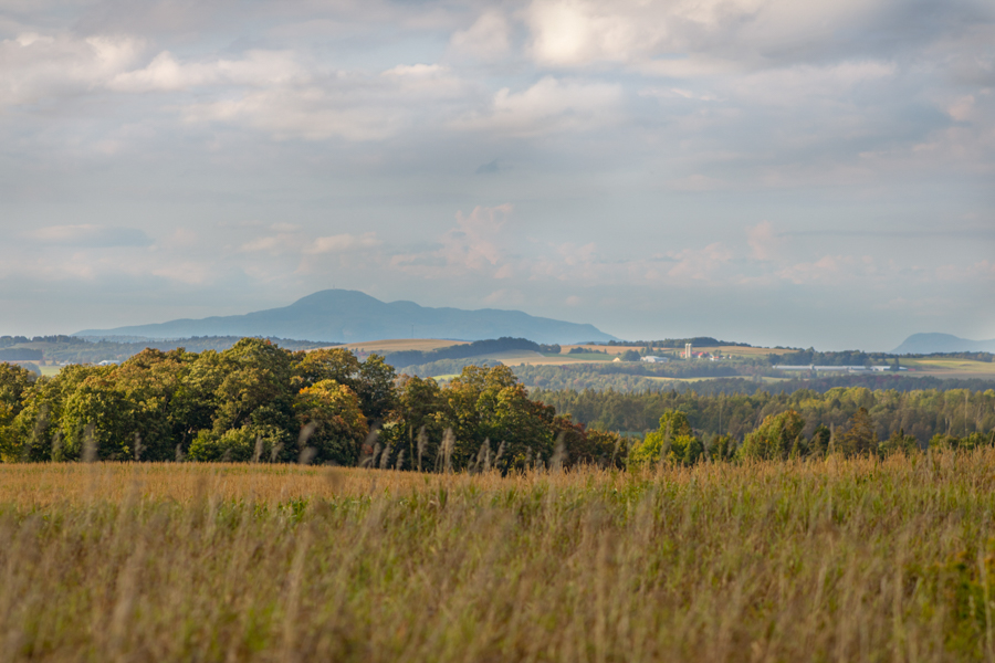 Holland VT | Century 21 Farm and Fоrest
