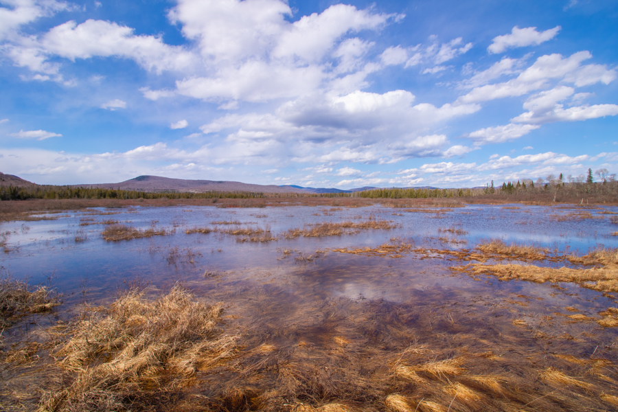 Victory VT | Century 21 Farm and Fоrest