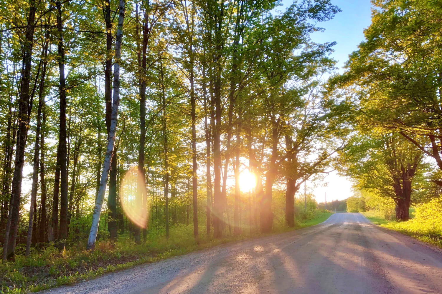 Northern Vermont Community Guide | CENTURY 21 Farm & Forest