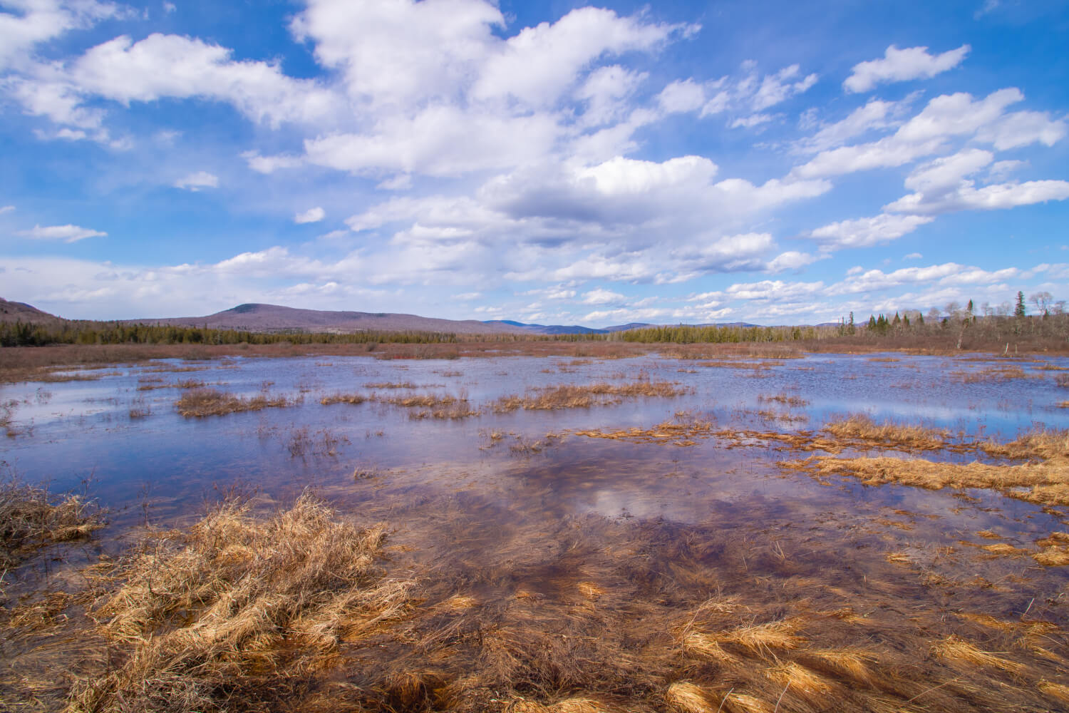 Northern Vermont Community Guide | CENTURY 21 Farm & Forest
