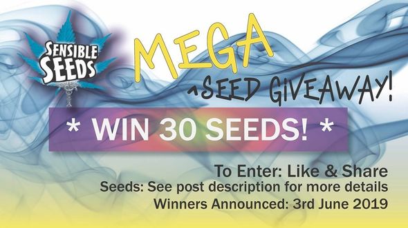 MEGA SEED GIVEAWAY