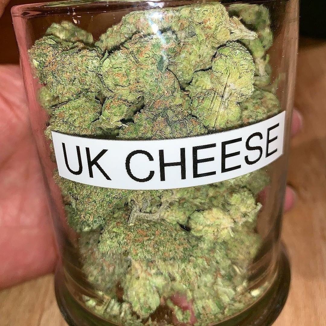 Top shelf Gas